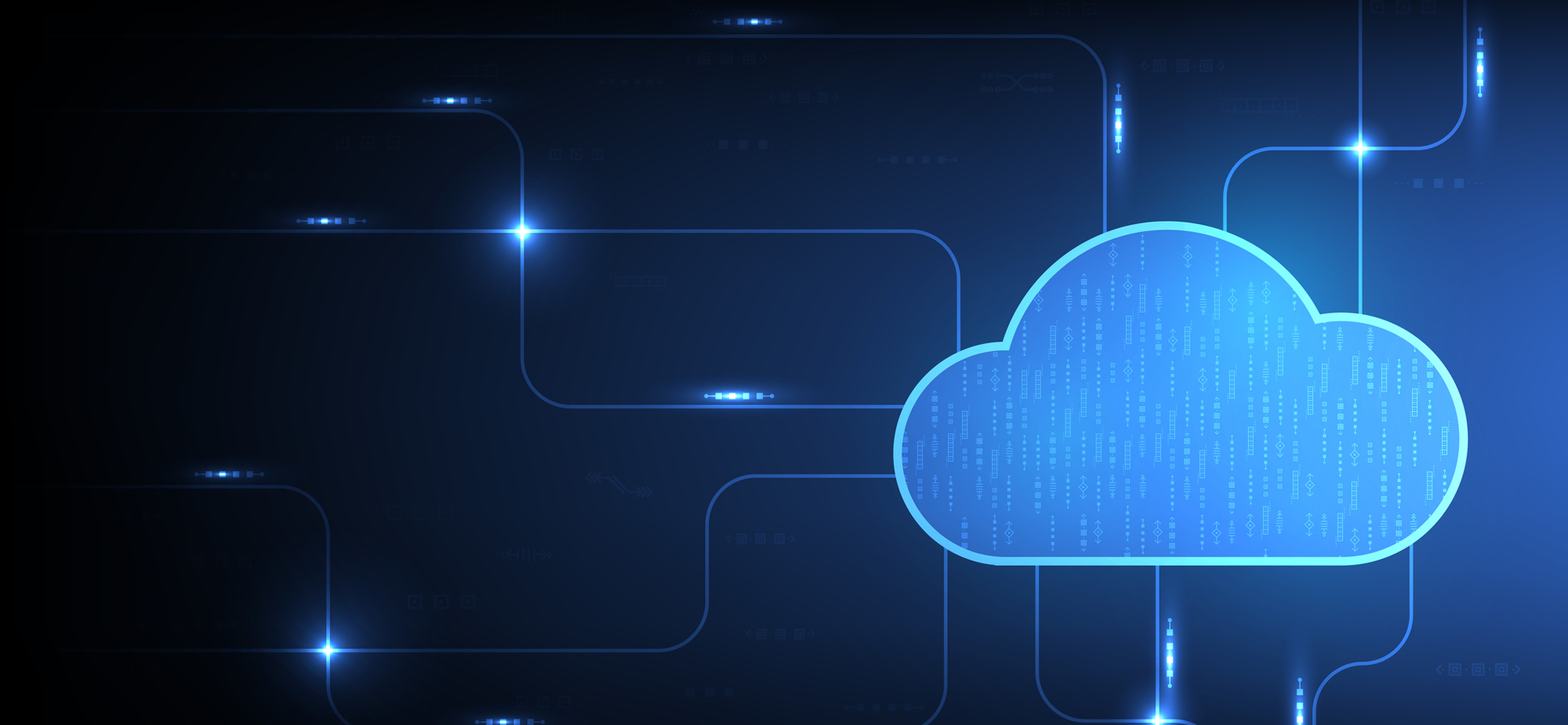 トップ | toponetec.com