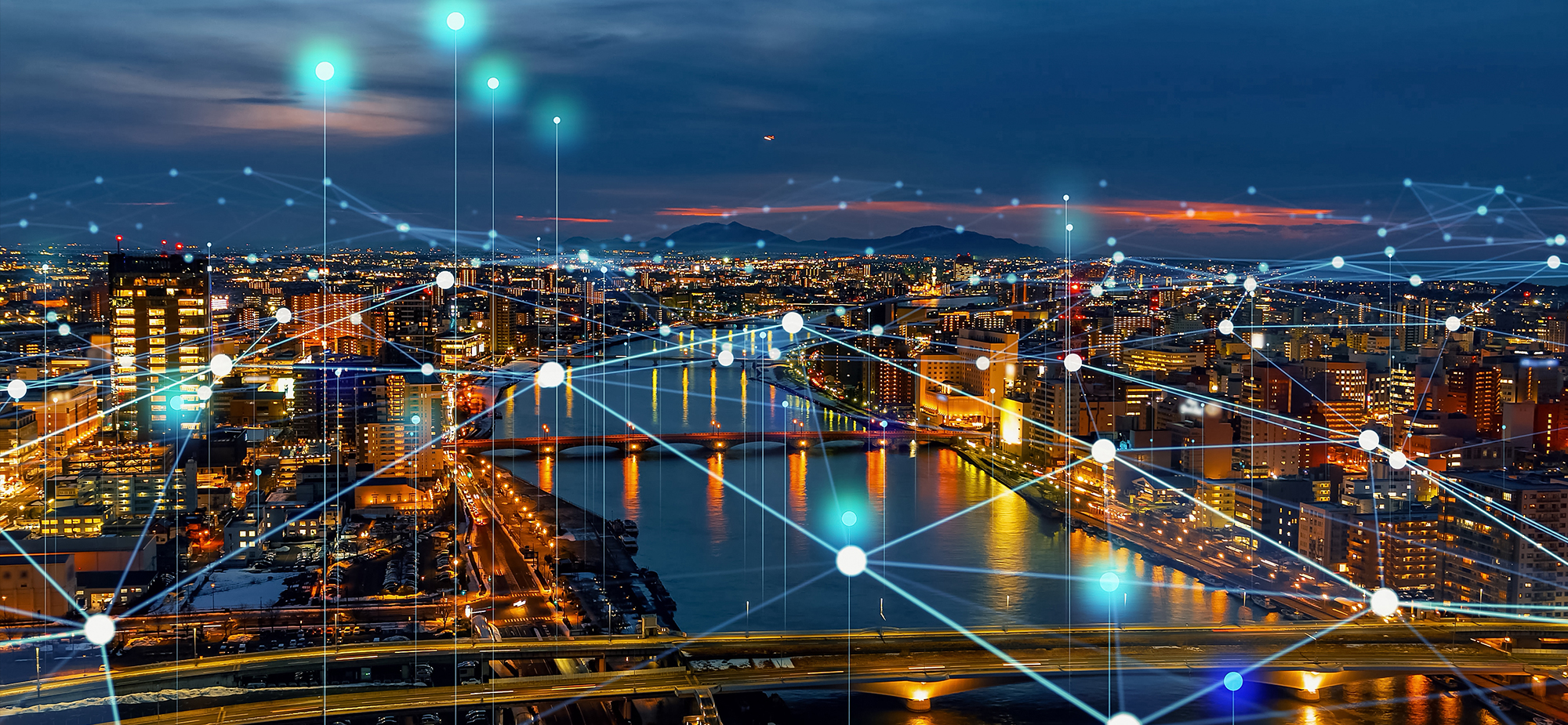 トップ | toponetec.com