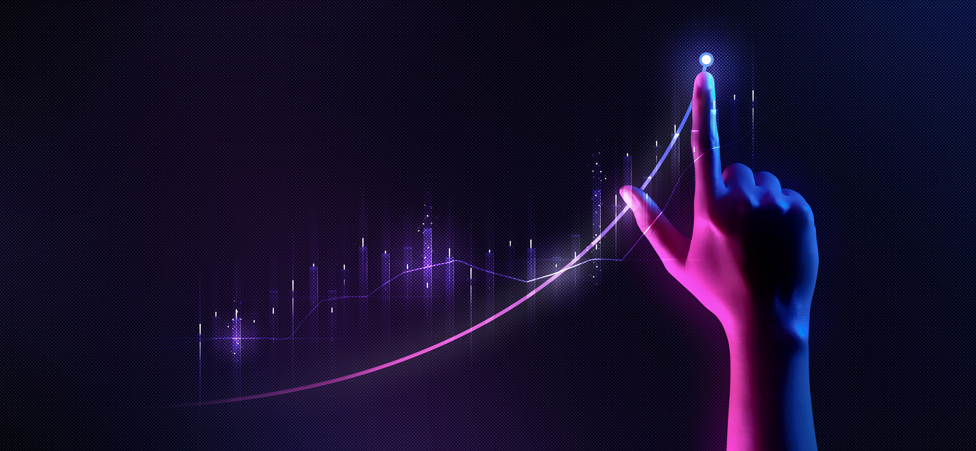 トップ | toponetec.com